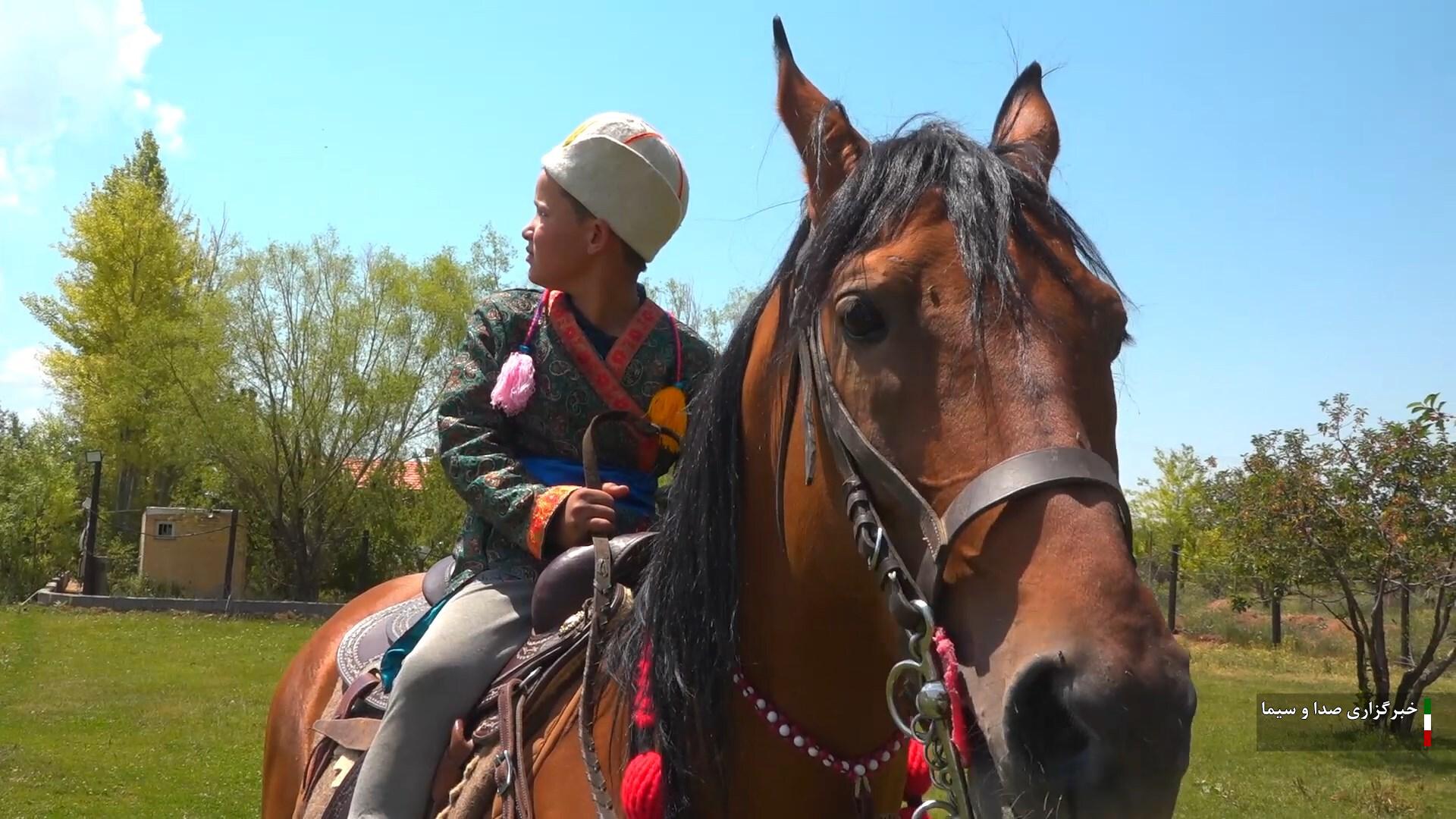 سمیرم، خاستگاه پرورش اسب اصیل دره شوری | خبرگزاری صدا و سیما